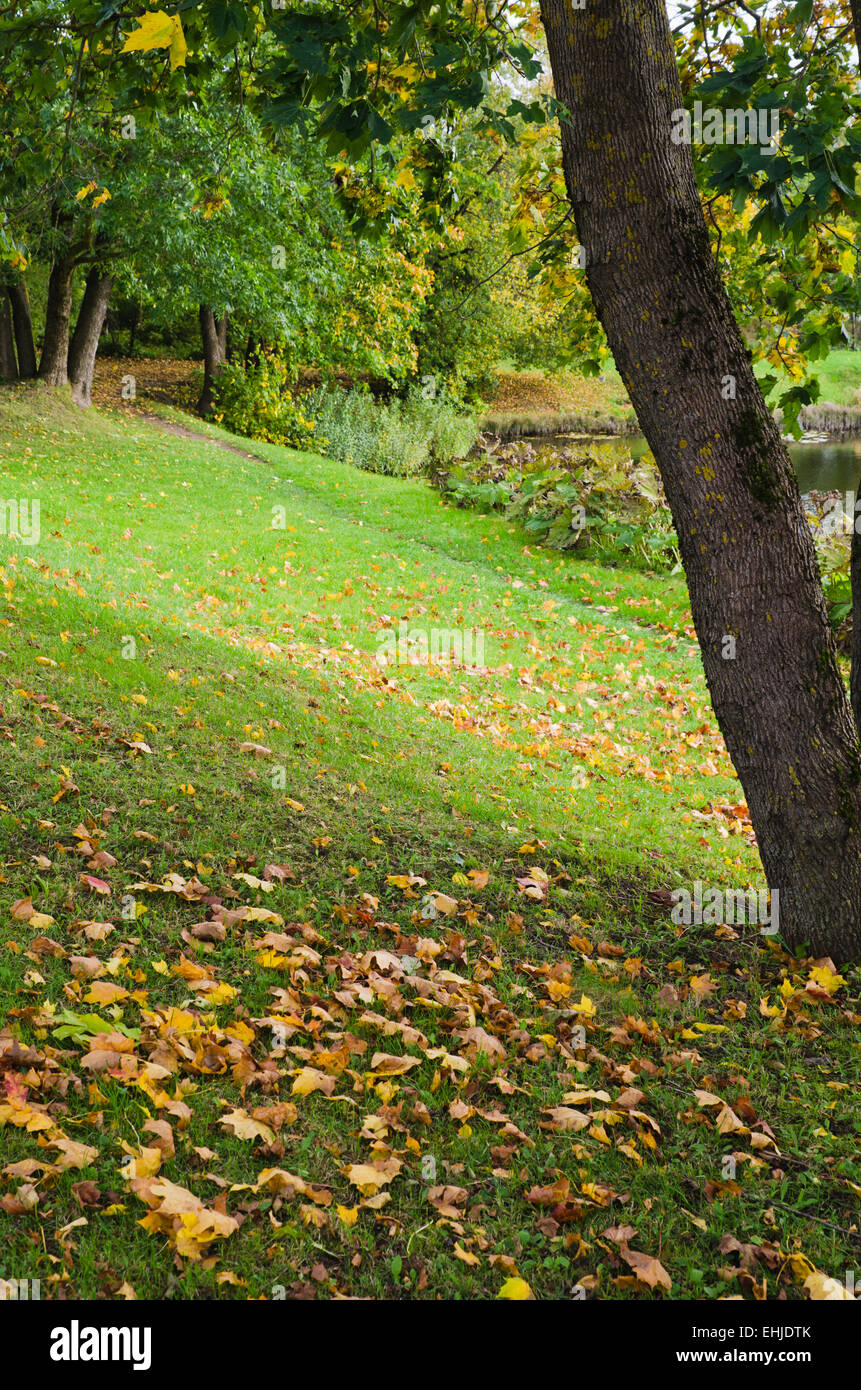 Road side pond hi-res stock photography and images - Alamy