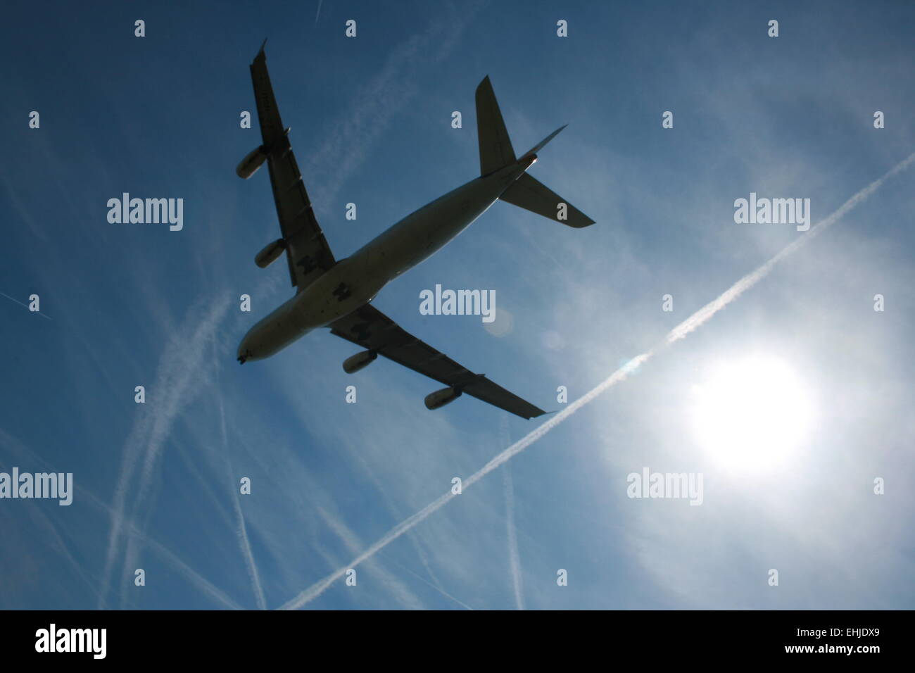 fly in the holiday Stock Photo - Alamy