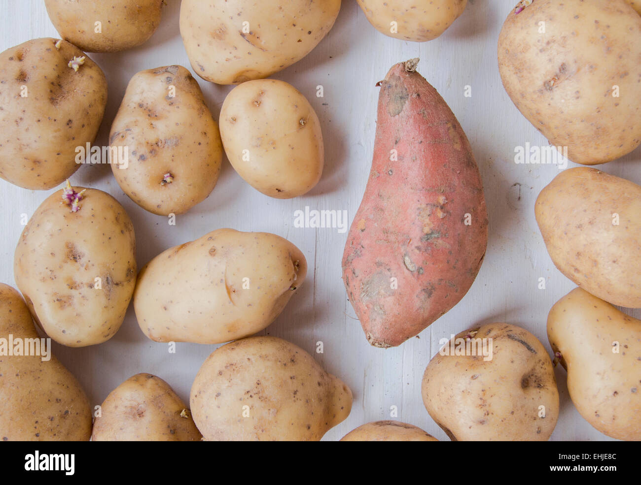 Soil difference hi-res stock photography and images - Alamy