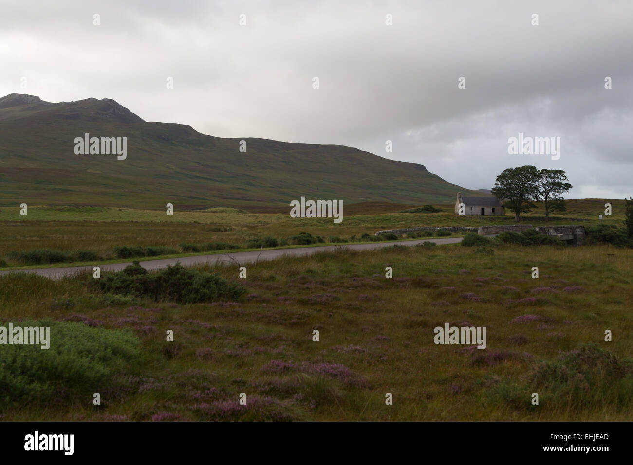 Scottish grass hi-res stock photography and images - Alamy