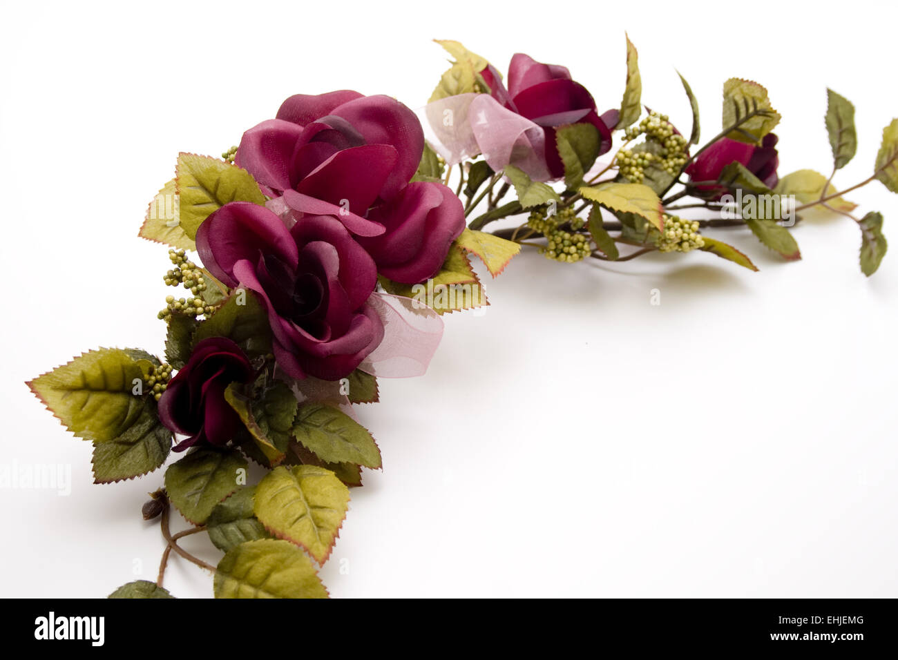 Rose branch hi-res stock photography and images - Alamy