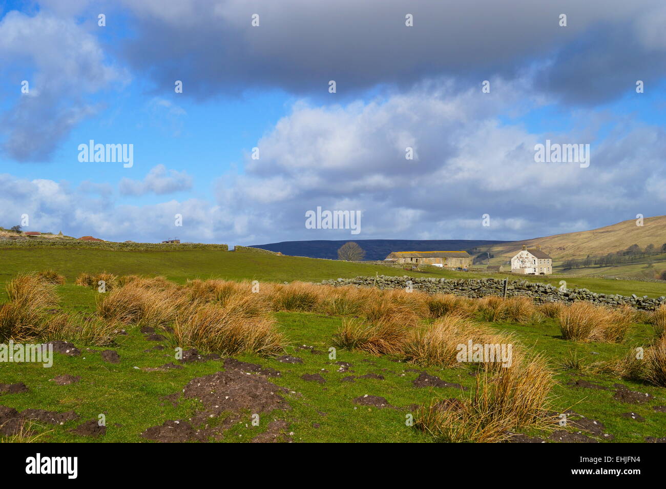 Whitlow hi-res stock photography and images - Alamy
