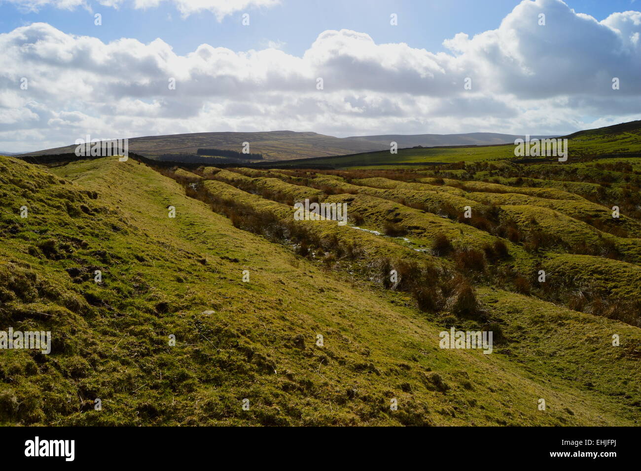 Whitley castle hi-res stock photography and images - Alamy