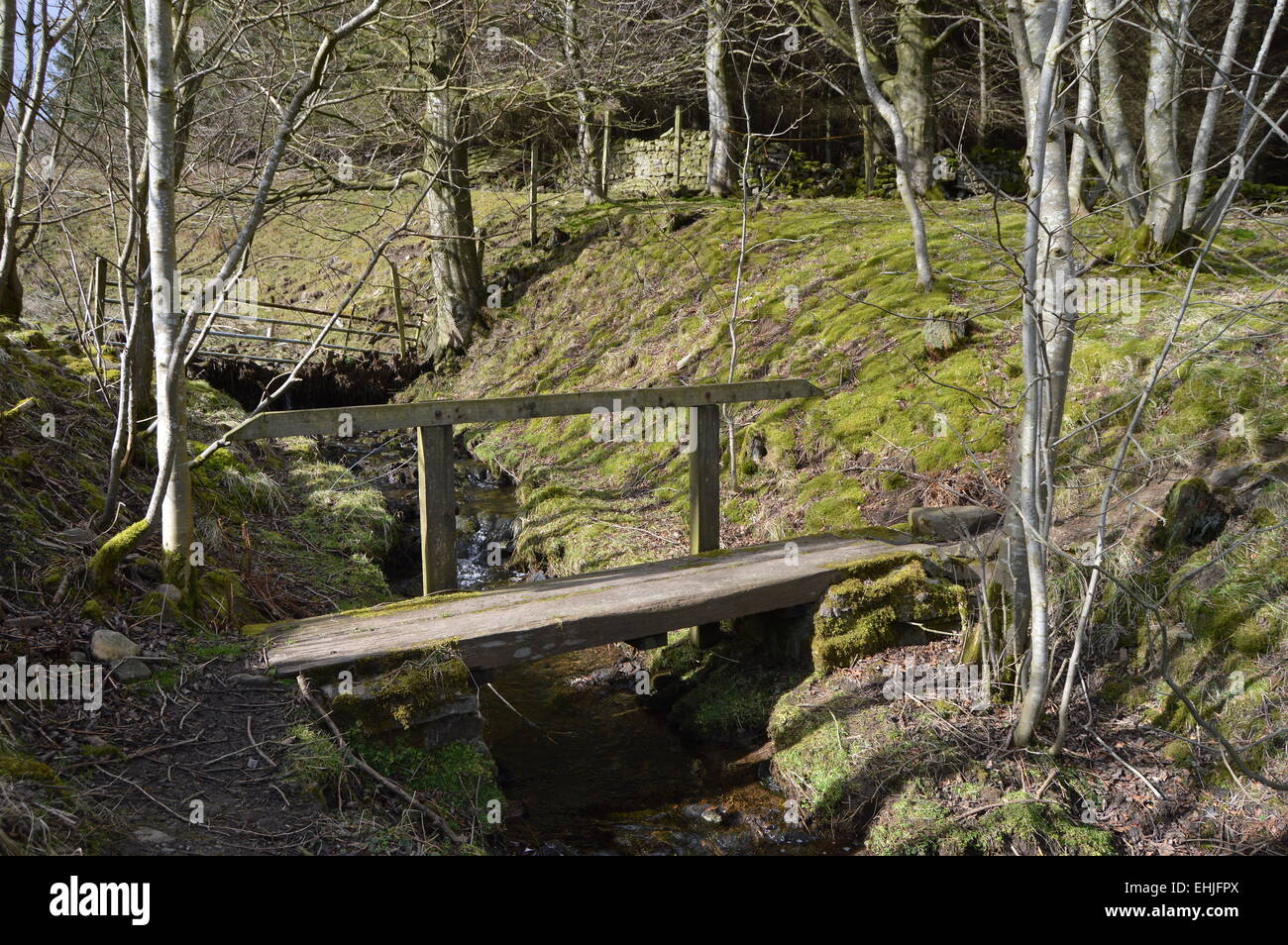 Bridge across burn near Castle Nook Farm on the Pennine Way near Alston ...
