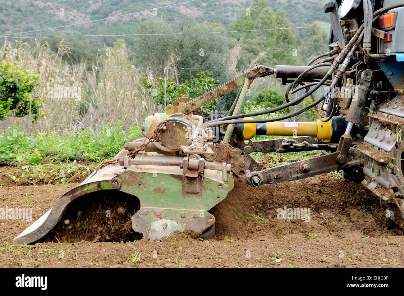 Weeding and milling of a vegetable garden with a crawler tractor Stock ...