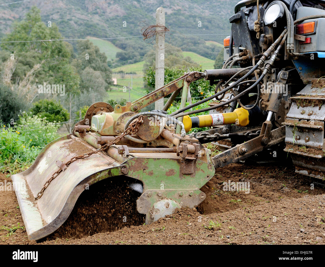 Weeding and milling of a vegetable garden with a crawler tractor Stock ...