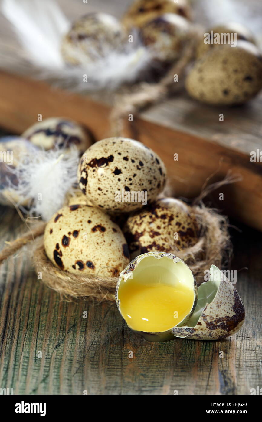 Broken quail egg Stock Photo - Alamy
