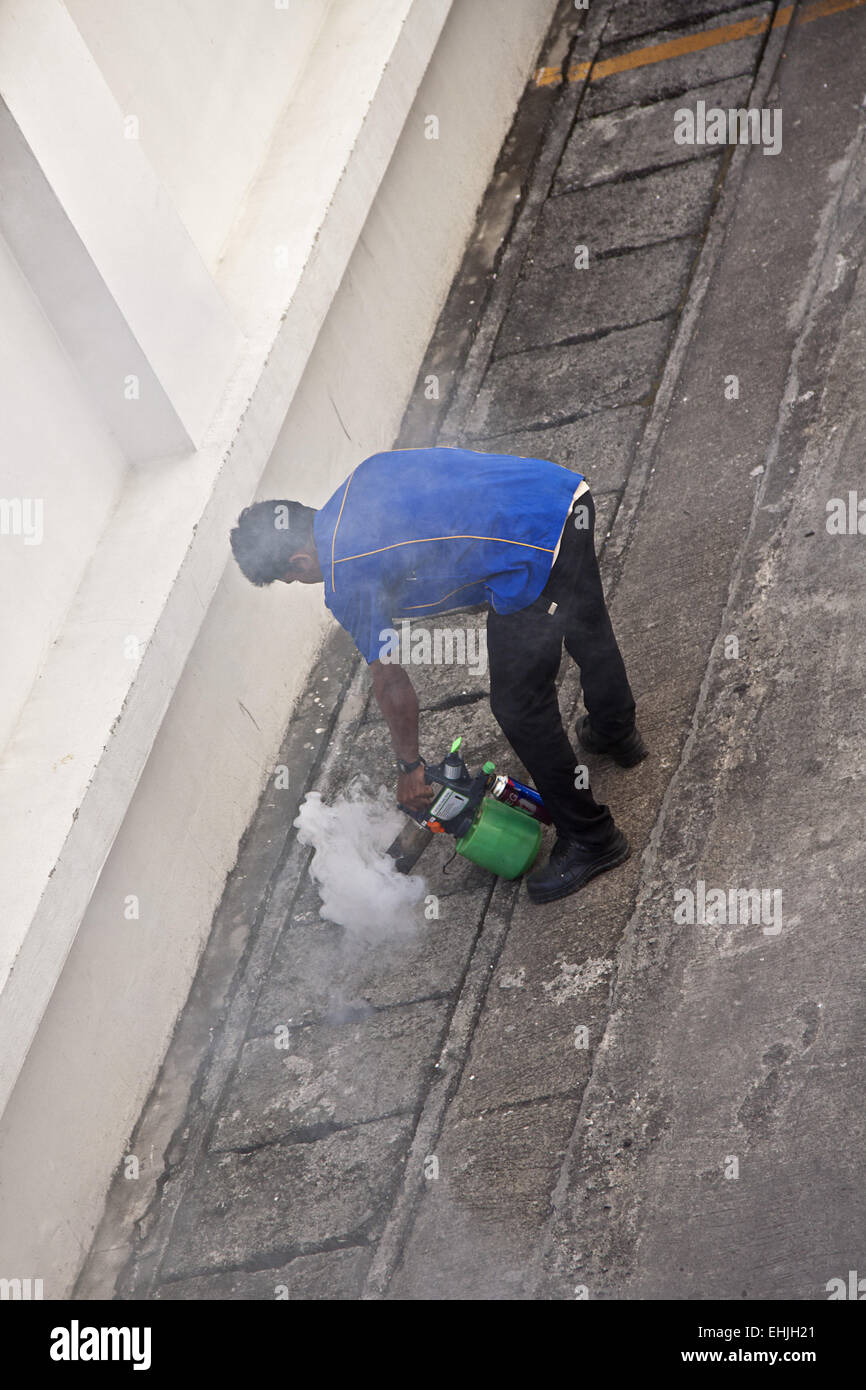 Poison insects hi-res stock photography and images - Alamy