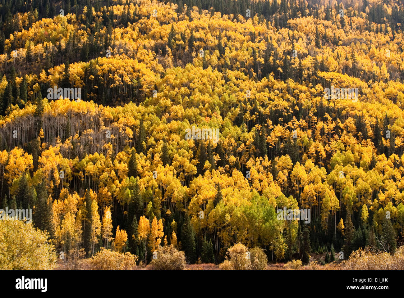 Hillside colorado hi-res stock photography and images - Alamy