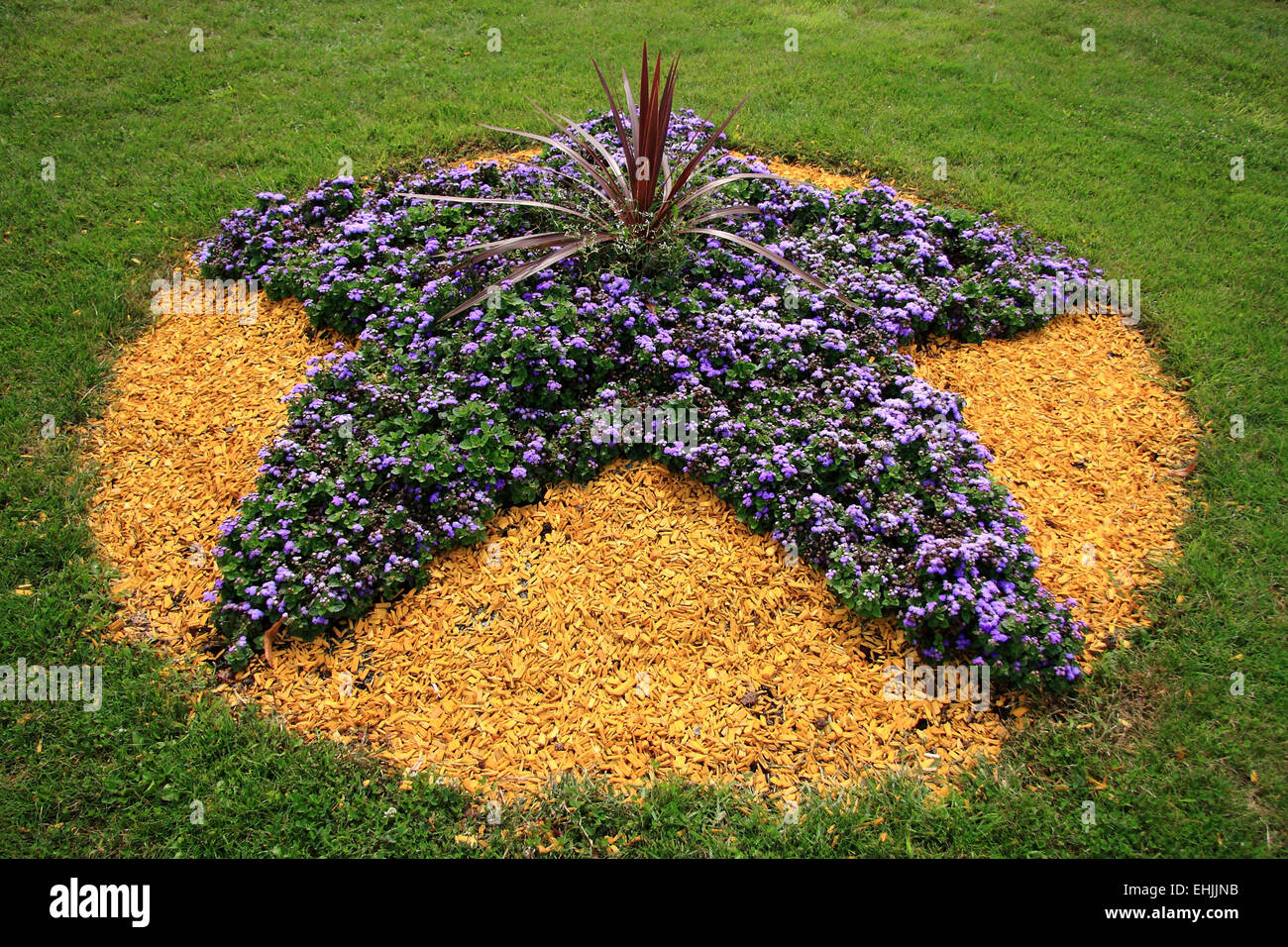 Round flower bed hi-res stock photography and images - Alamy