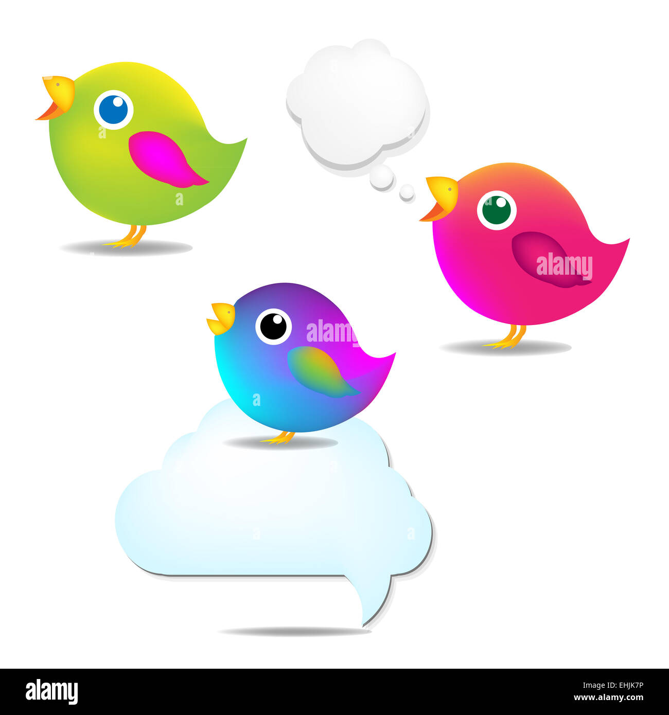 Color birds hi-res stock photography and images - Alamy