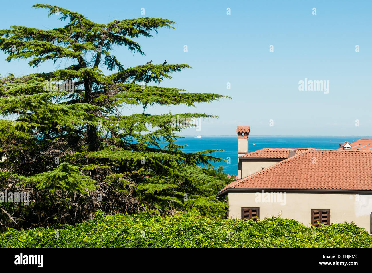 Mediterranean House and Sea Stock Photo - Alamy