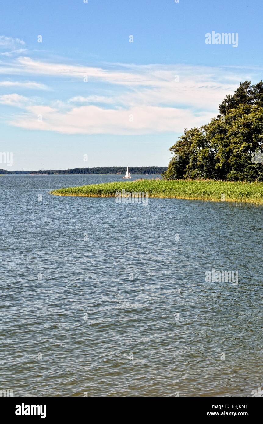 Summer landscape with lake Stock Photo - Alamy