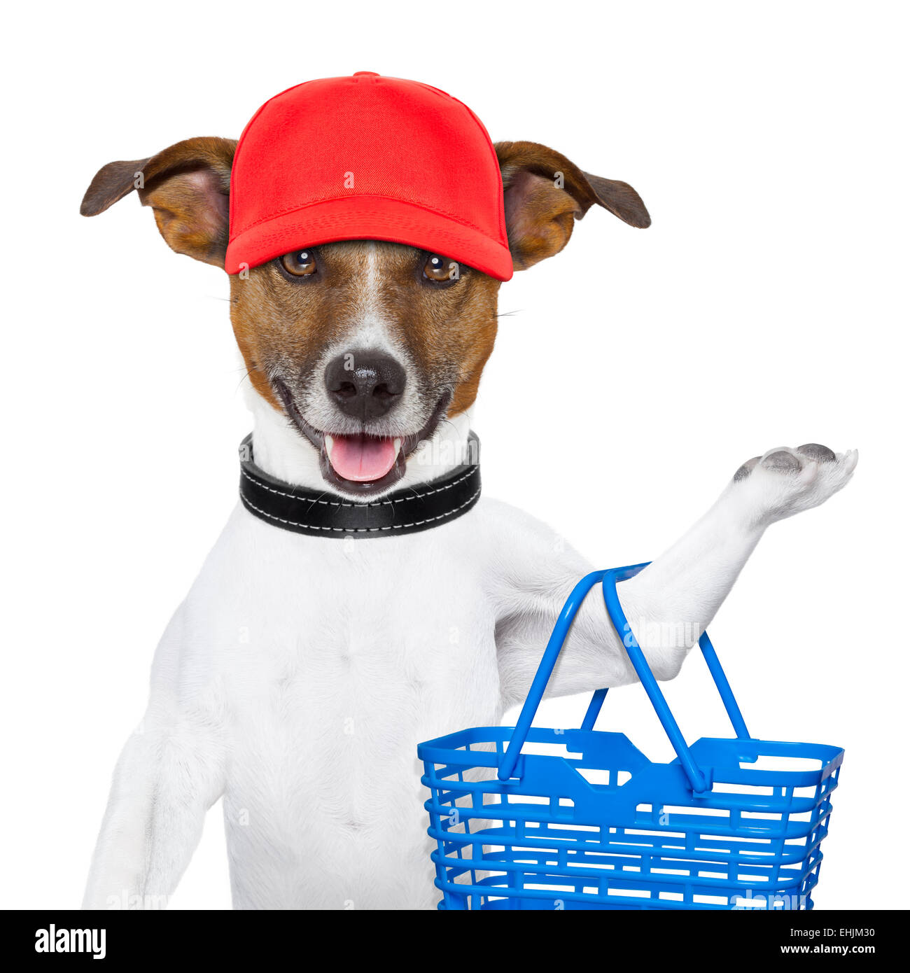 Dog shopping trolley hi-res stock photography and images - Alamy