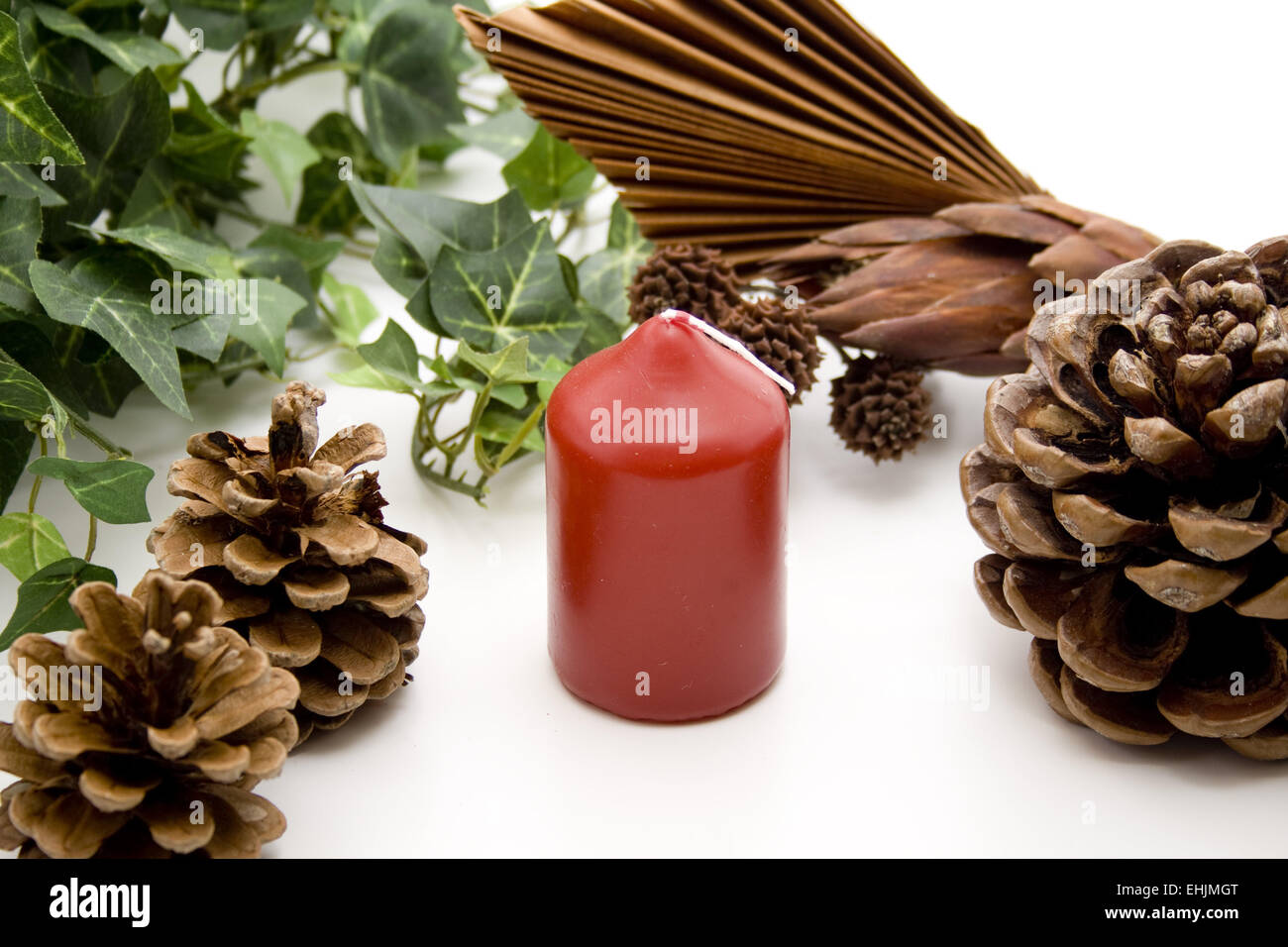 Red pine cones hi-res stock photography and images - Alamy