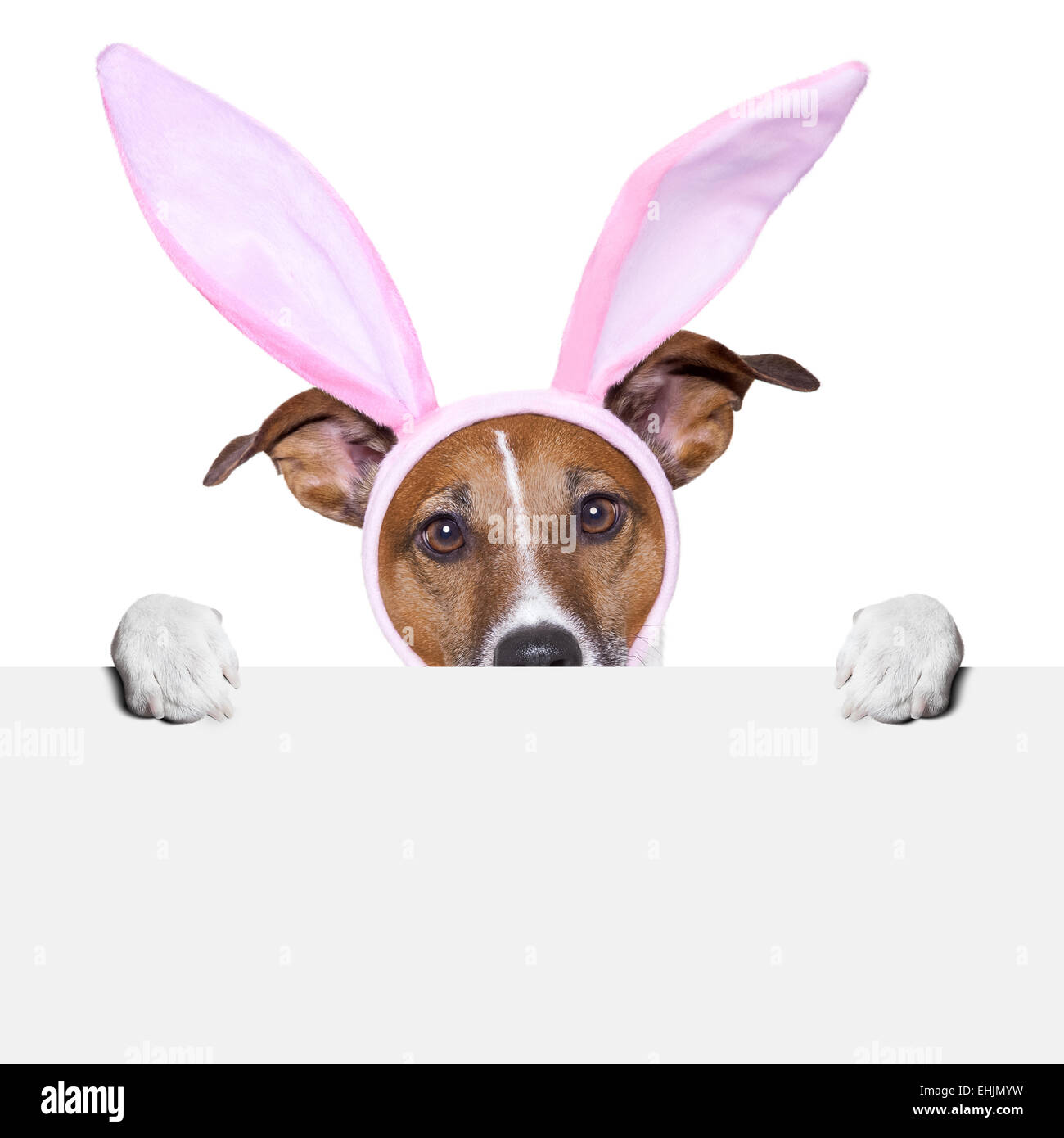 Easter funny hi-res stock photography and images - Alamy