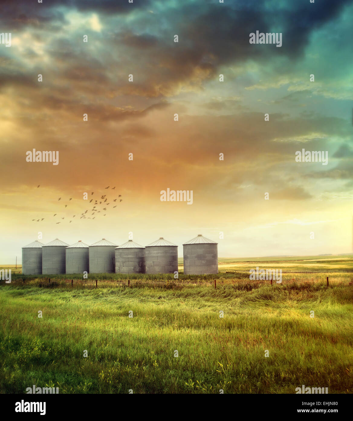 Prairie grain silos in late summer Stock Photo - Alamy