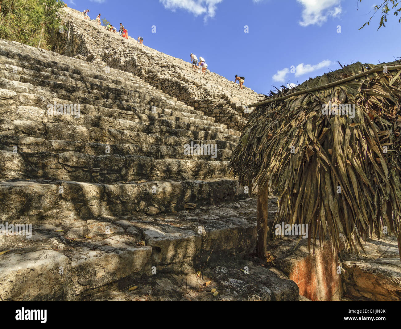 Pyramid Steele At Coba Quintana Mexico Stock Photo - Alamy