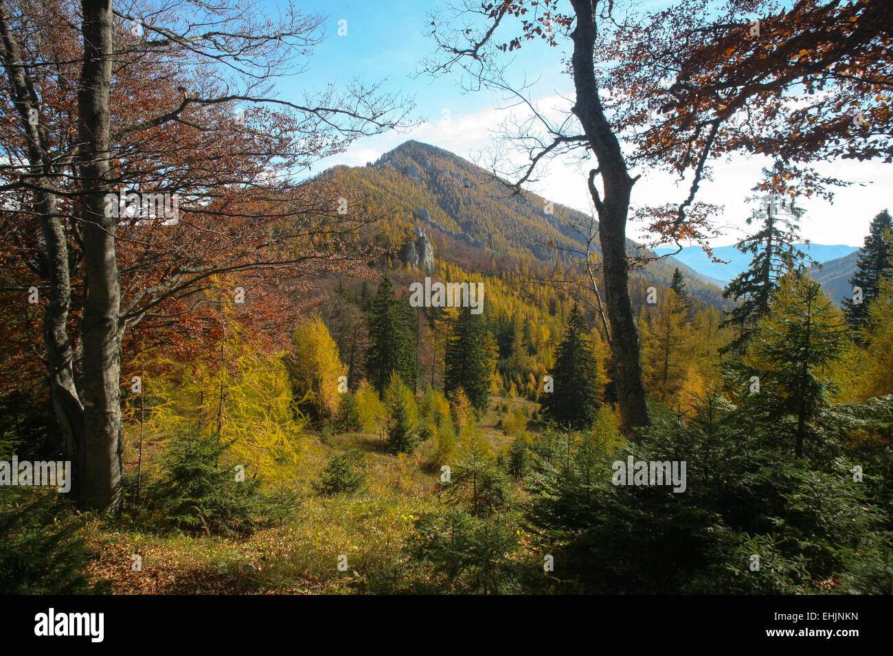 Royalty free landscape hi-res stock photography and images - Alamy