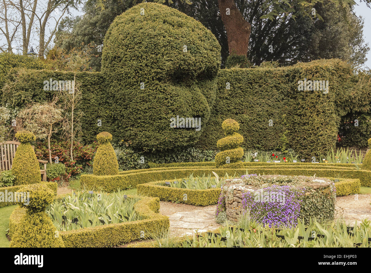 Topiary face hi-res stock photography and images - Alamy