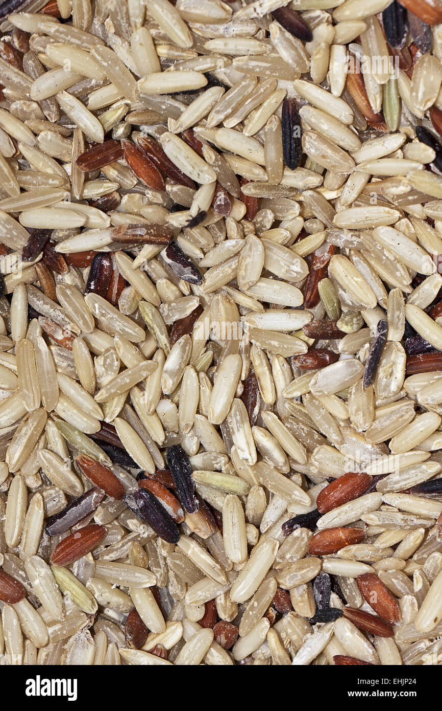 Rohreis hi-res stock photography and images - Alamy