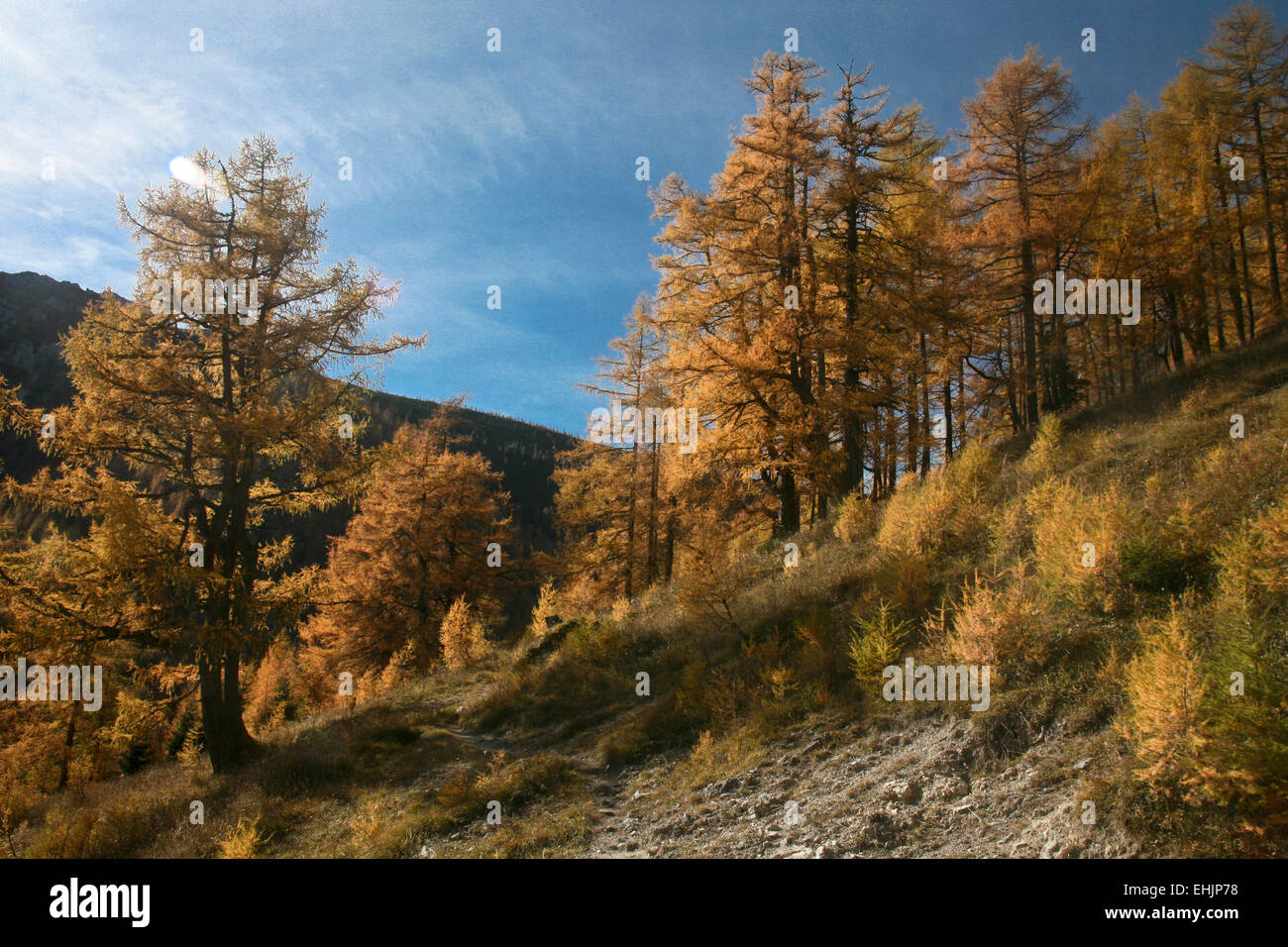 Styrian alps hi-res stock photography and images - Alamy