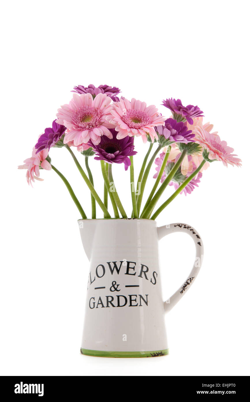 Bouquet Gerber flowers in vase isolated over white background Stock ...