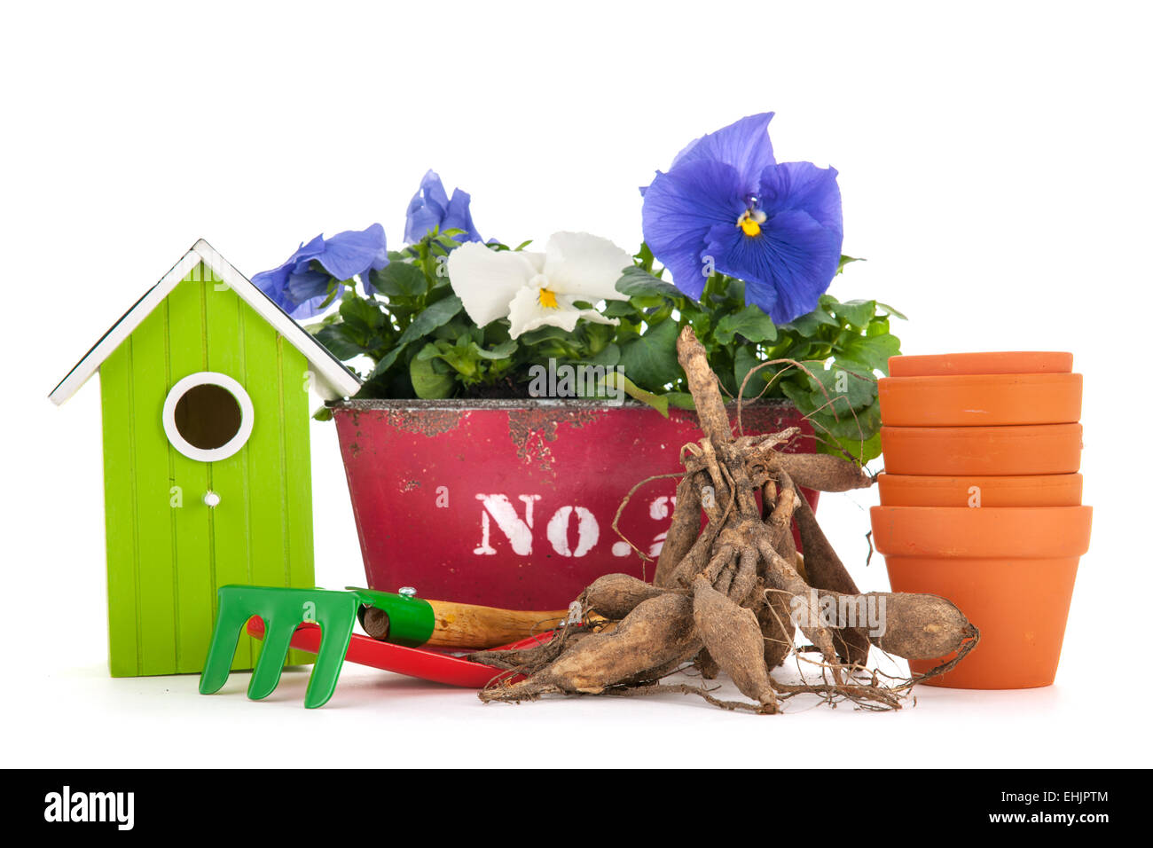 Pansy flowers and other gardening objects isolated over white ...