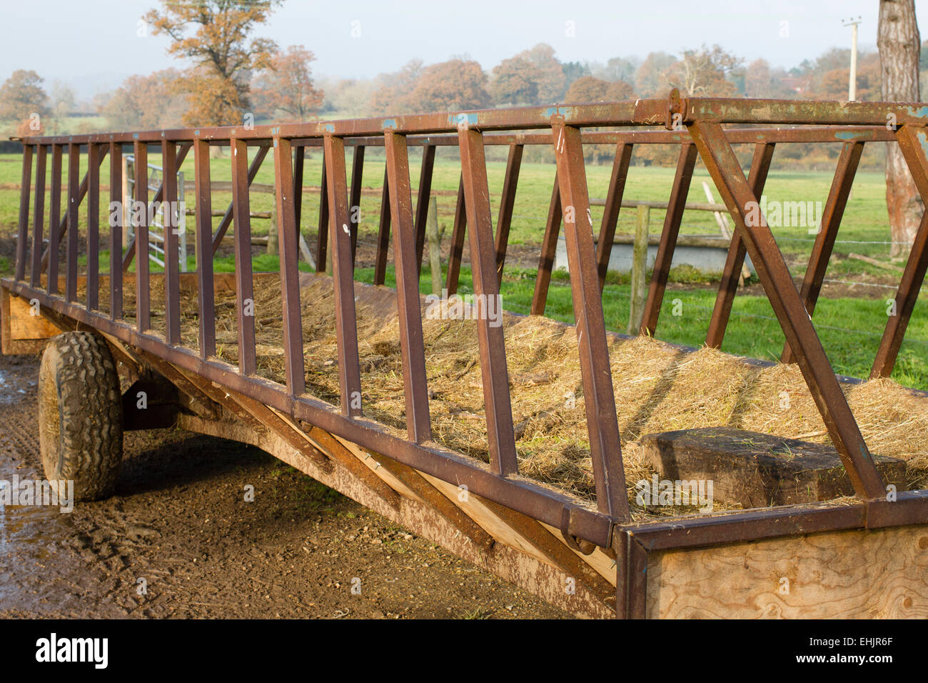 A farm trailer for providing fodder or cattle feed in the field Stock ...