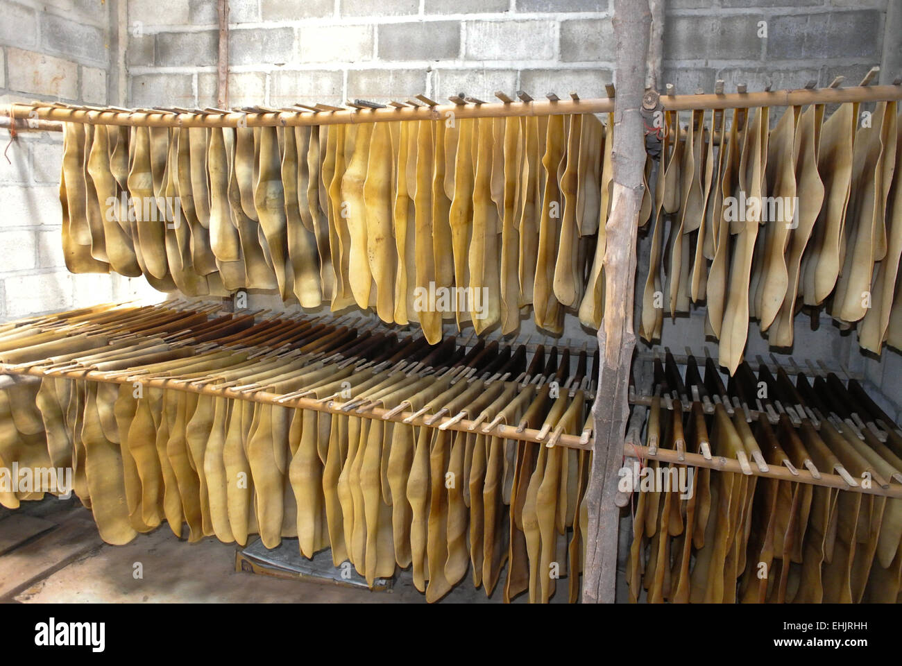 The rubber industry in Thailand Asia Stock Photo - Alamy
