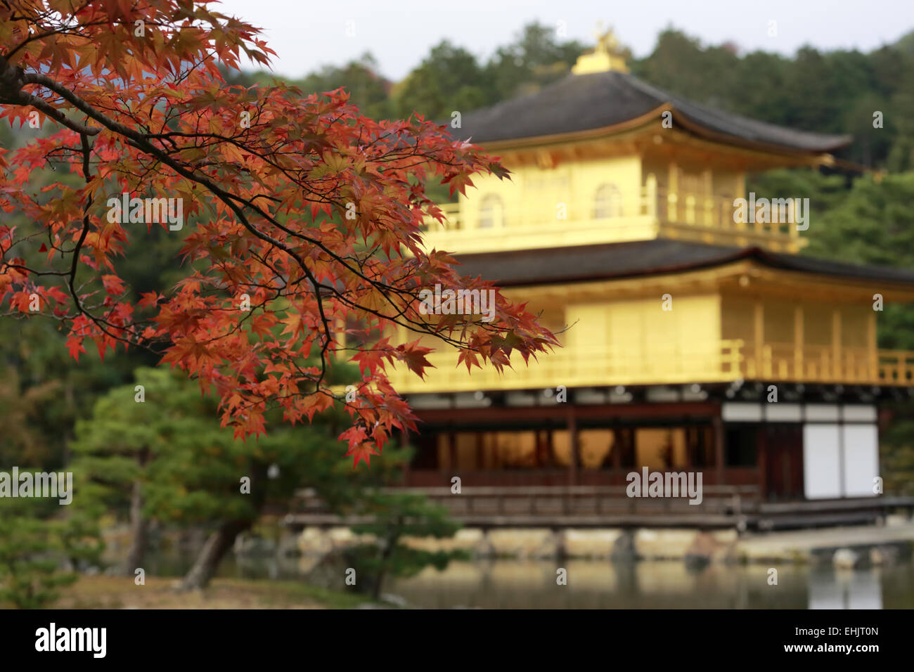 Kyoto golden temple hi-res stock photography and images - Alamy