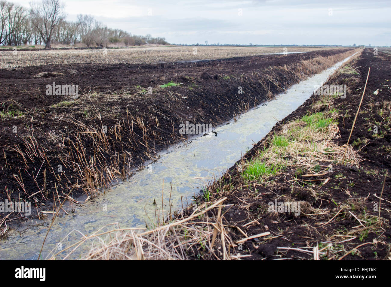 Fenland drainage ditch with very dark soil and fields Stock Photo - Alamy