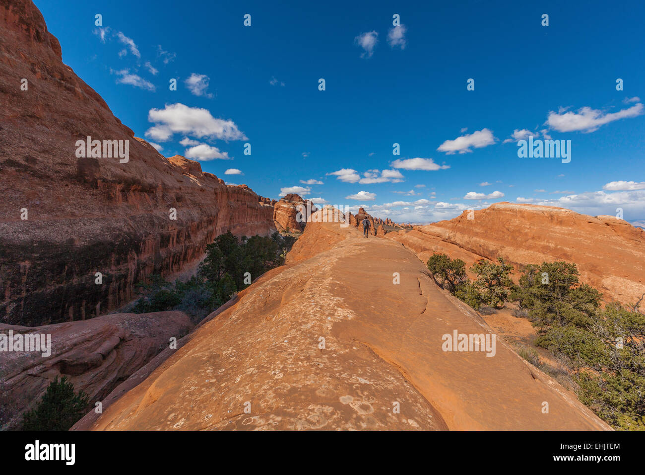 Female adventurer exploring the desert Stock Photo - Alamy