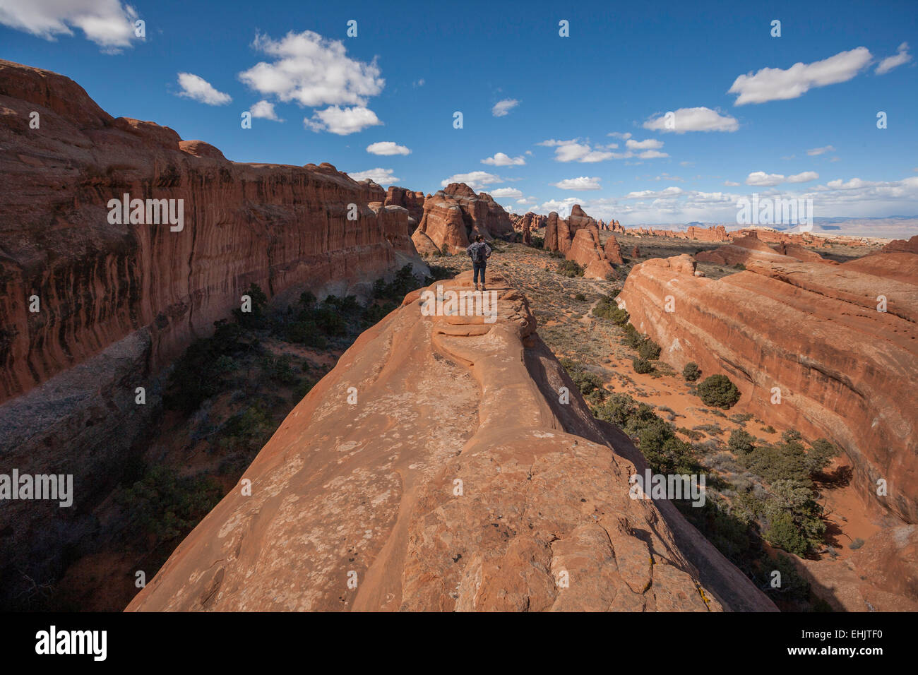 Female adventurer exploring the desert Stock Photo - Alamy