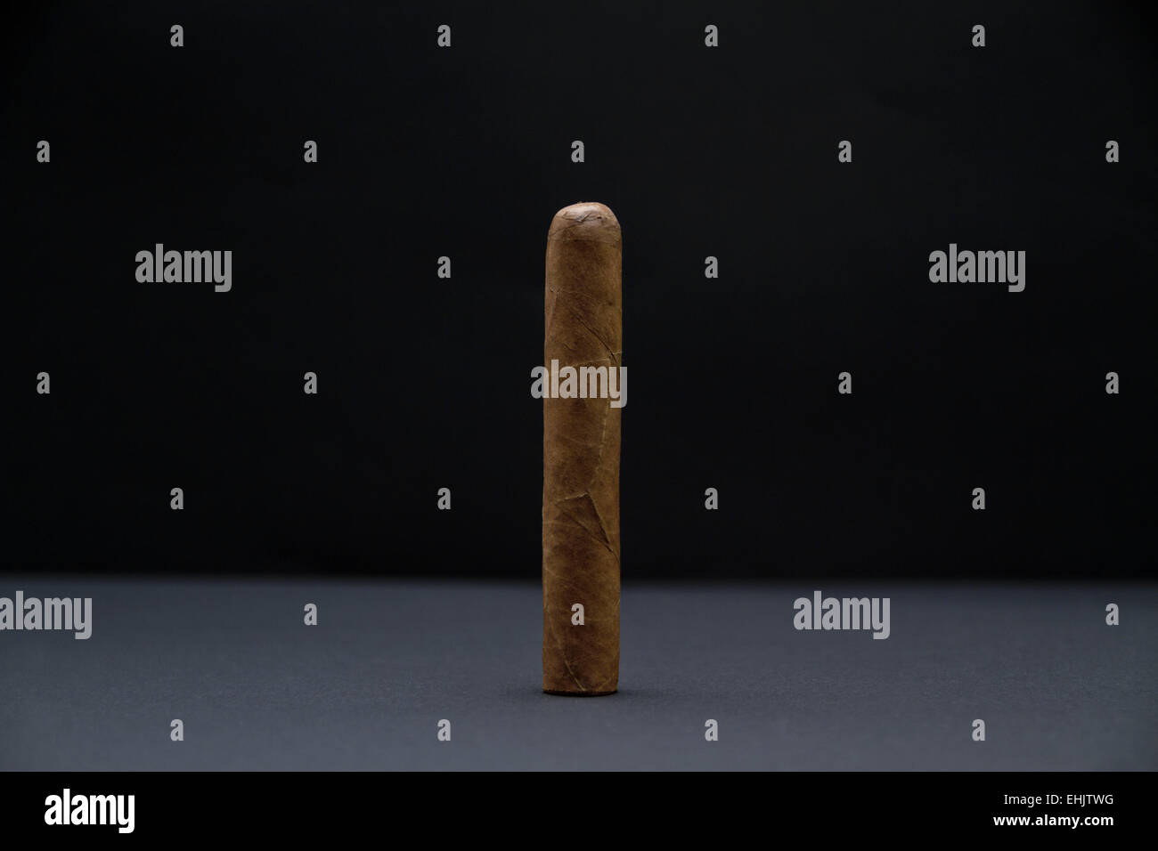 Side view of a robusto sized cigar. Dark background and shallow depth ...