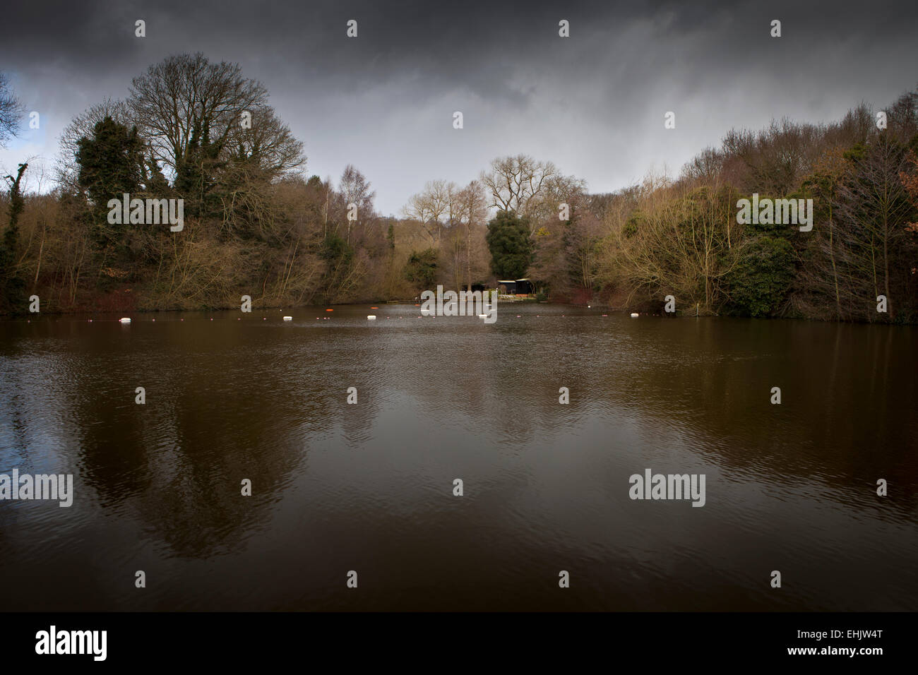 Hampsted heath ponds hi-res stock photography and images - Alamy