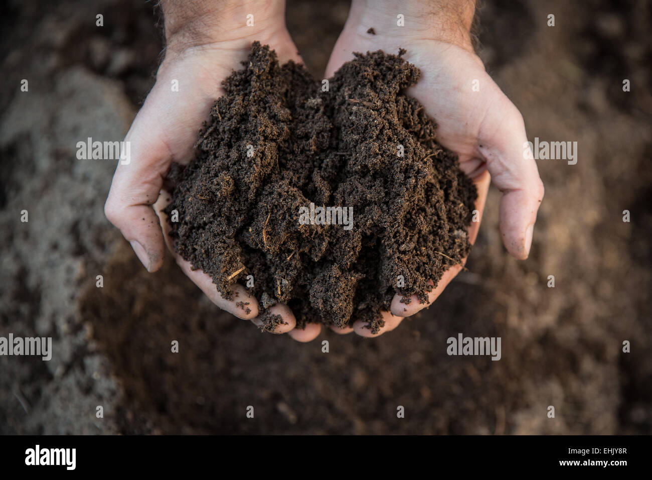 Hands holding soil hi-res stock photography and images - Alamy