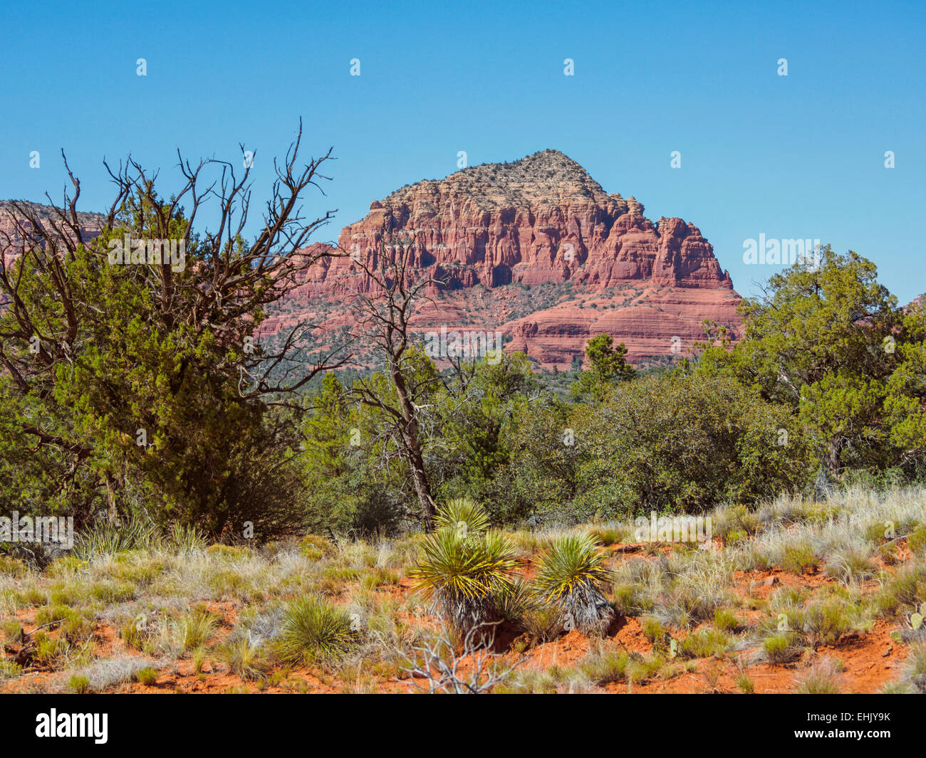 View of Castle Rock also known as Red Butte with desert and forest ...