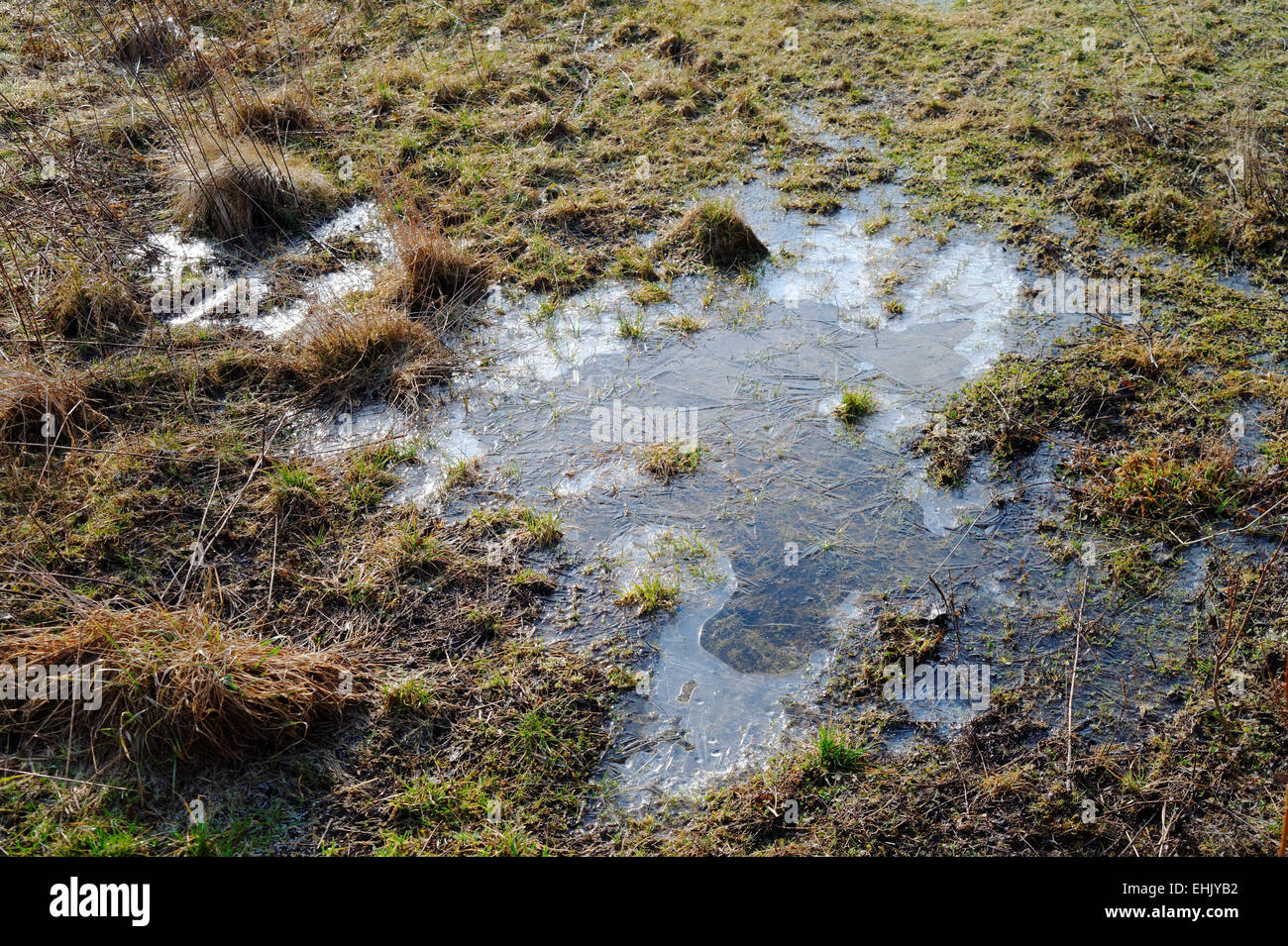 Frozen mud hi-res stock photography and images - Alamy