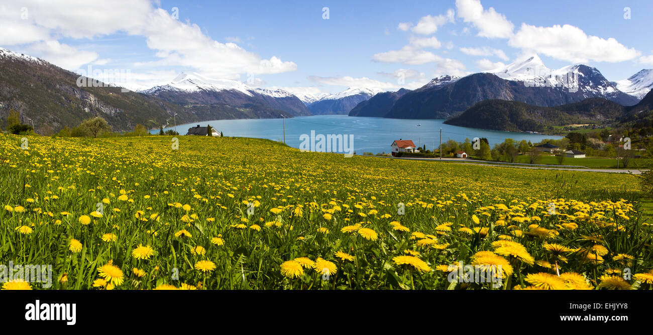 A fjord in Stranda, Norway Stock Photo - Alamy