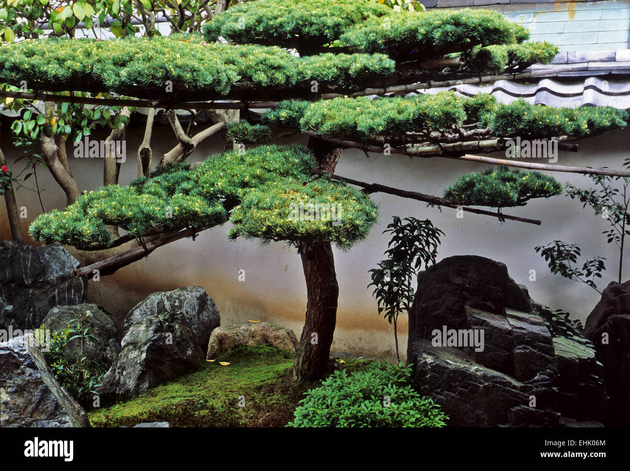The City of Kyoto is a unique reserve for ancient Zen gardens and ...
