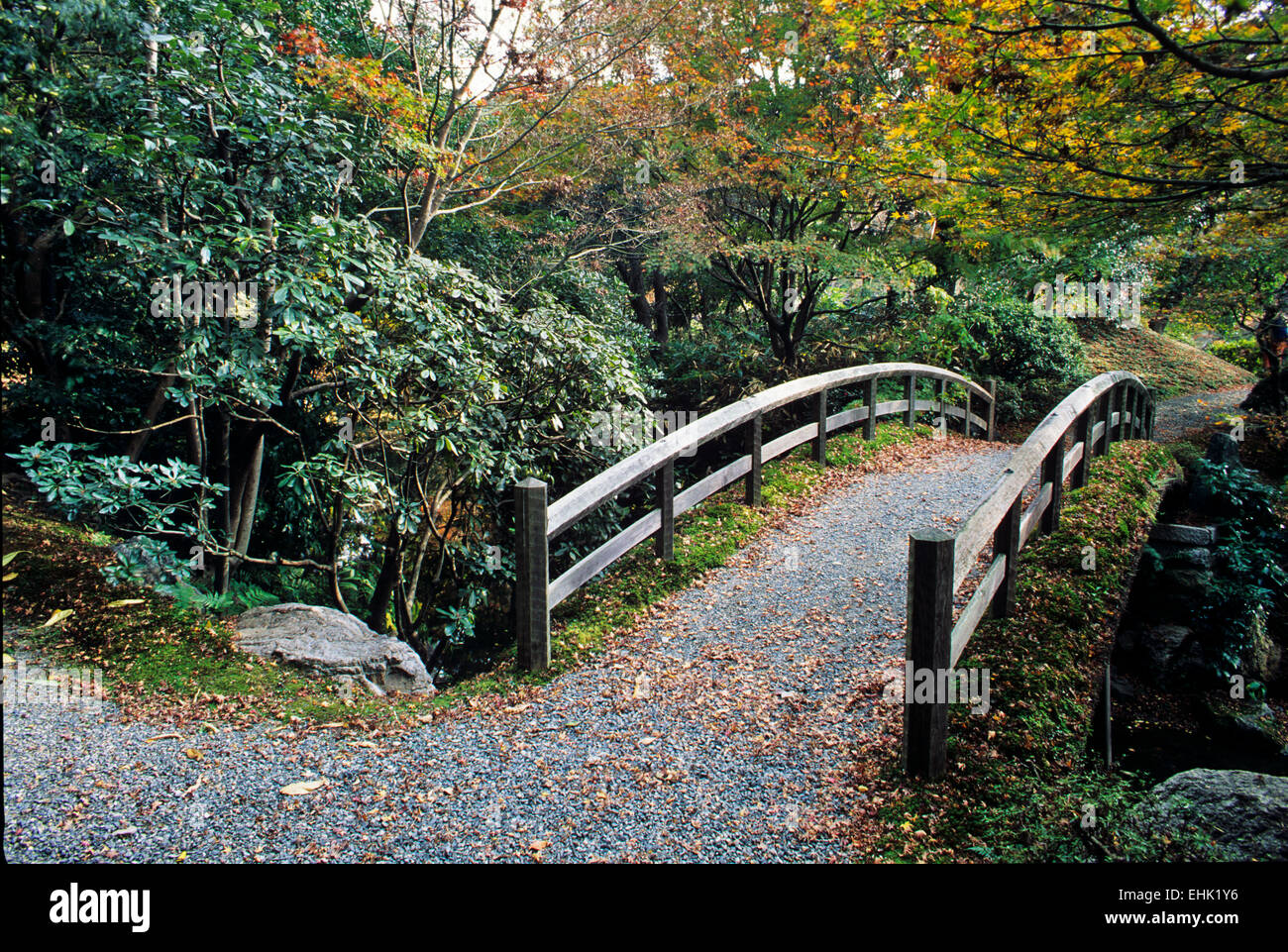 The City of Kyoto is a unique reserve for ancient Zen gardens and ...