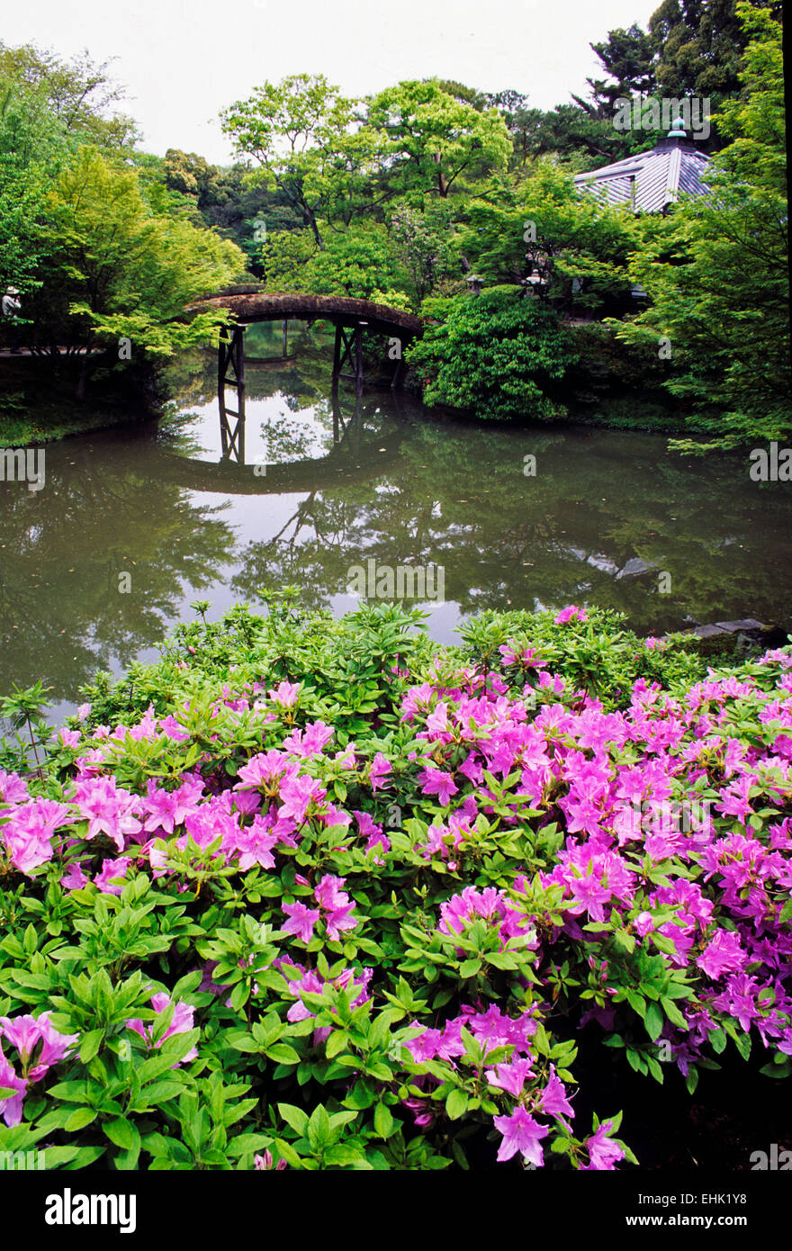 The City of Kyoto is a unique reserve for ancient Zen gardens and ...