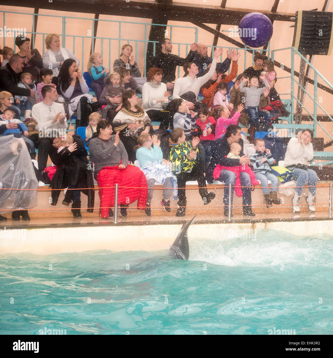 Ball dolphinarium hi-res stock photography and images - Alamy