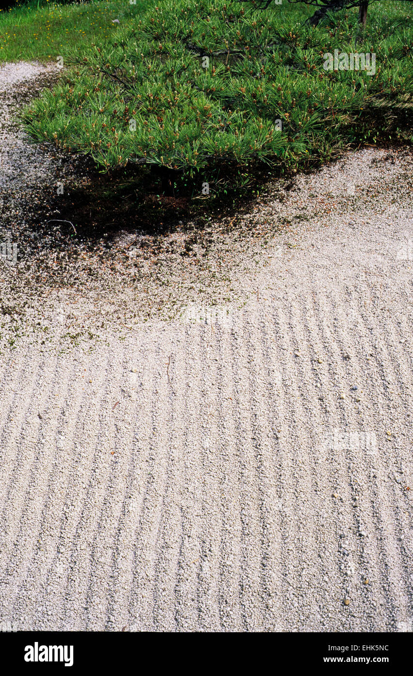 The City of Kyoto is a unique reserve for ancient Zen gardens and ...