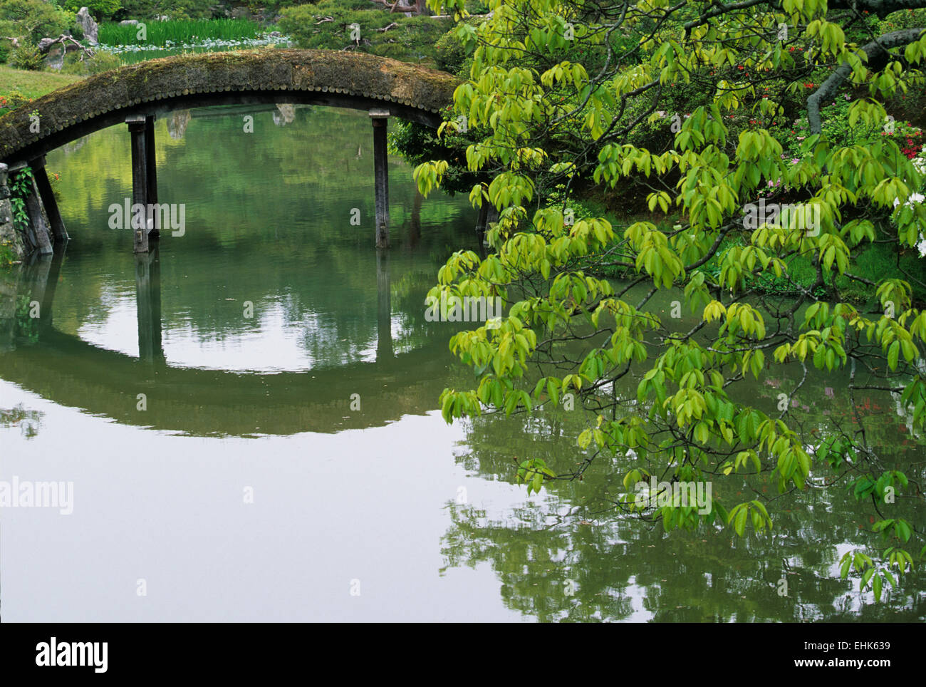 Moss temple hi-res stock photography and images - Alamy