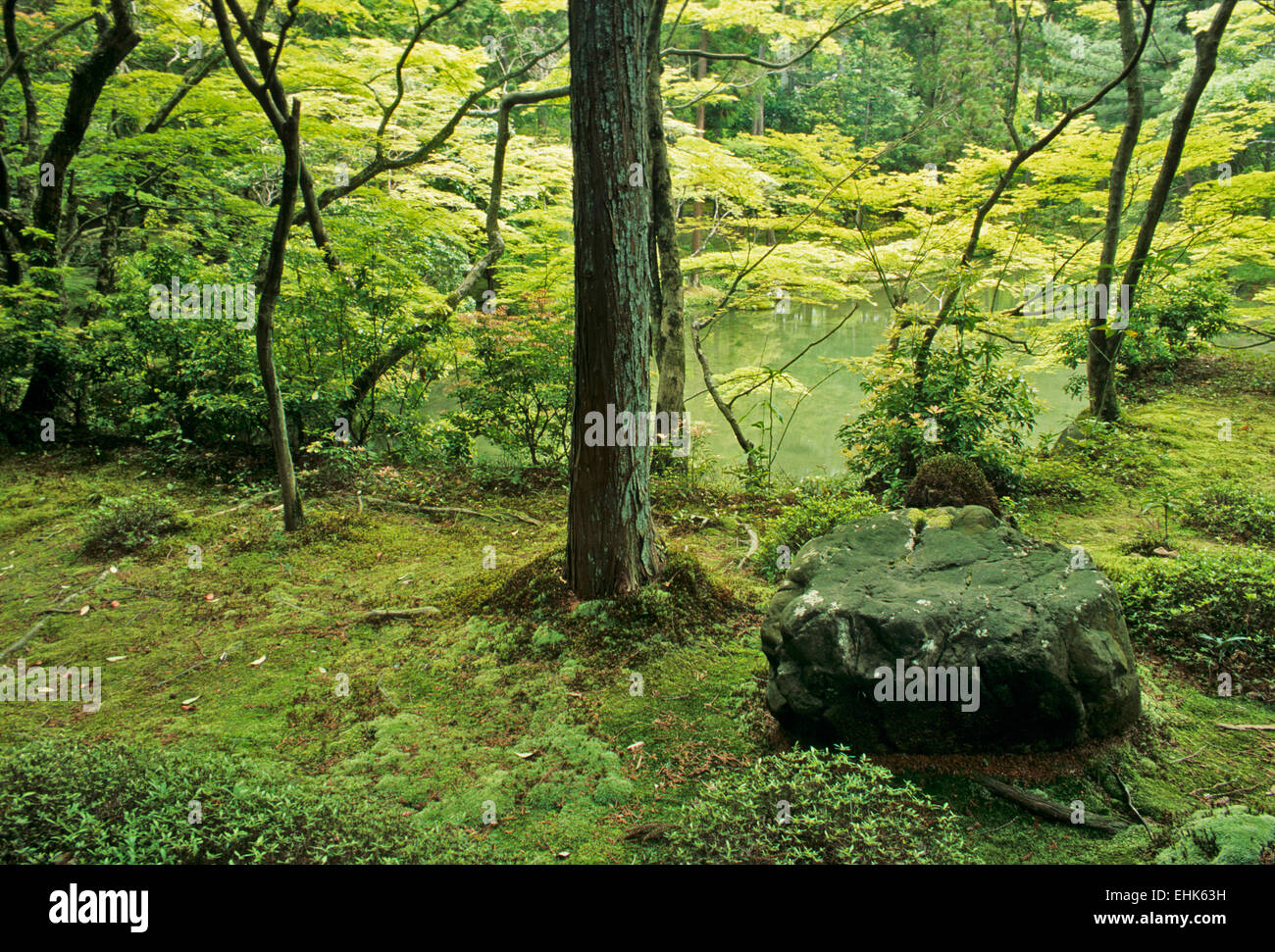 Moss temple hi-res stock photography and images - Alamy