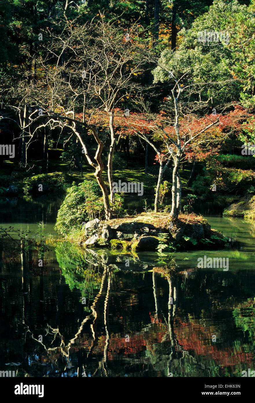 Moss temple hi-res stock photography and images - Alamy
