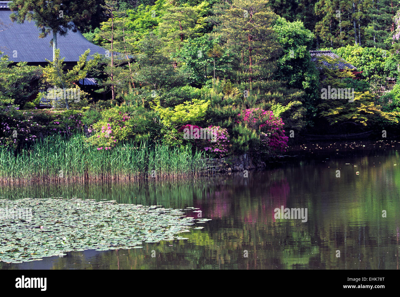 The City of Kyoto is a unique reserve for ancient Zen gardens and ...