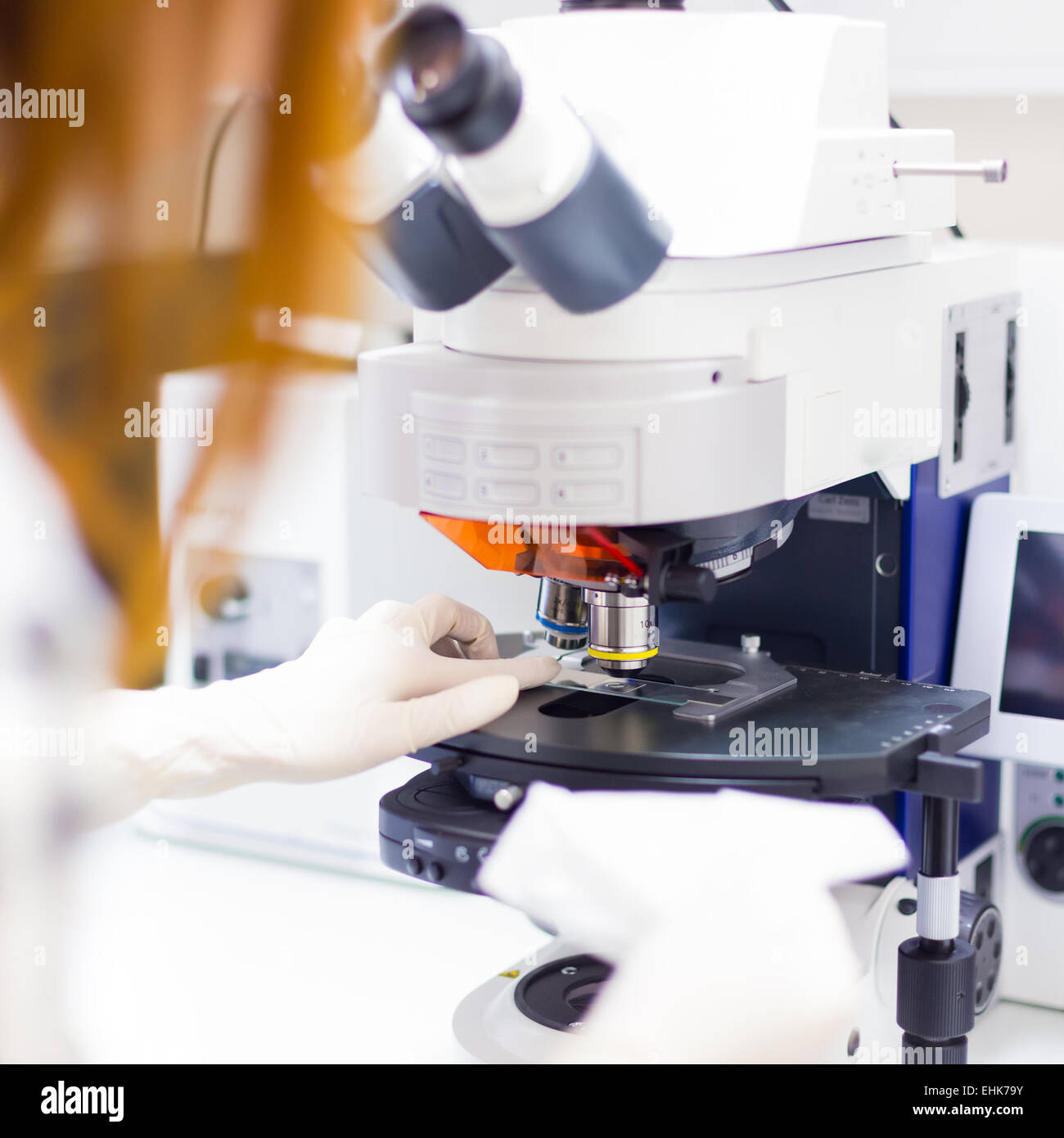 Helth care professional microscoping Stock Photo - Alamy